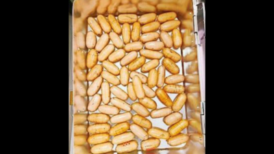 Rs 10 crore capsules of cocaine extracted from Ugandan | Mumbai News ...