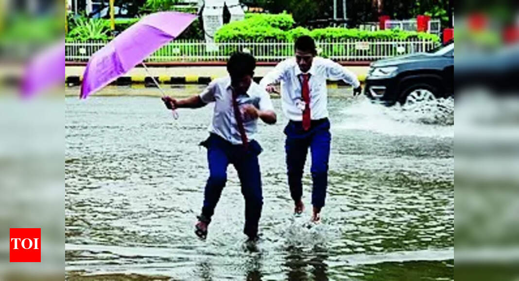 RMC Nagpur: This Isn’t The End, Monsoon Is Just On A Break, Says Rmc | Nagpur News - Times of India
