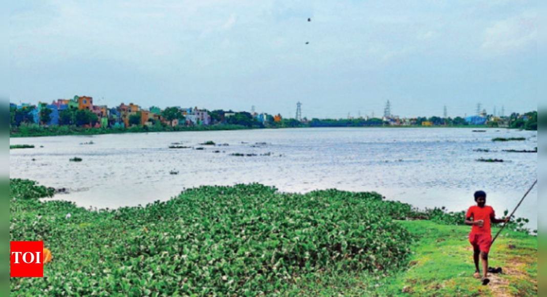 Eight Waterbodies To Be Restored Across City Chennai News Times Of