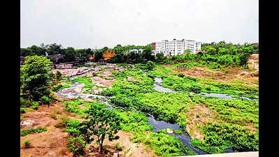 Pollution: 21km Crowd-funded Kanwar Yatra In Chutia To Save ...