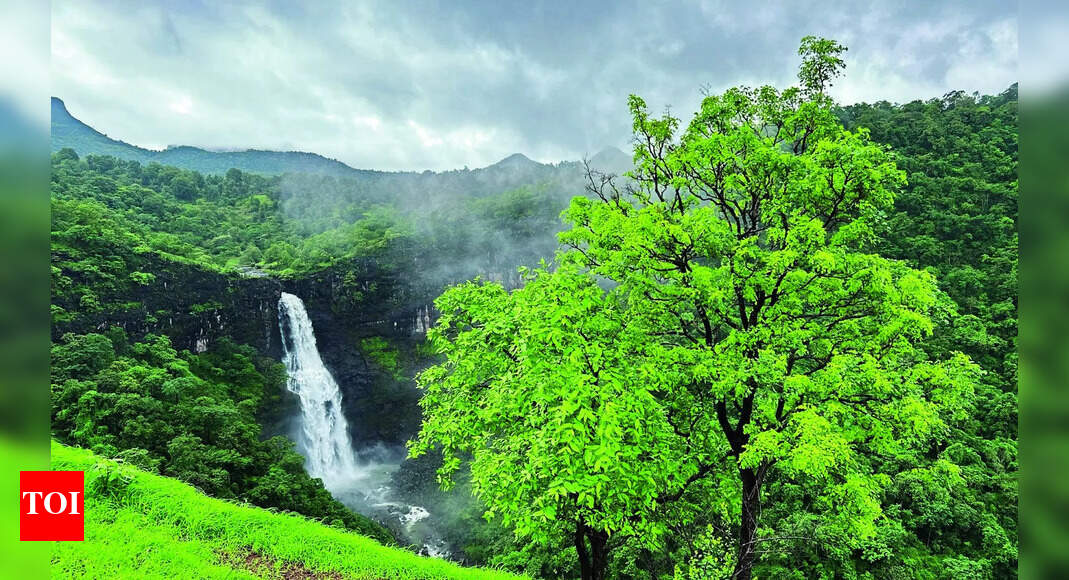 Water Bodies: Forest Workers & Villagers To Keep Tabs On Tourists At ...