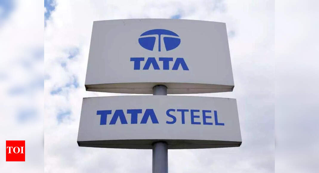 Not so keen on any other new acquisitions: Tata Steel CEO T V Narendran ...