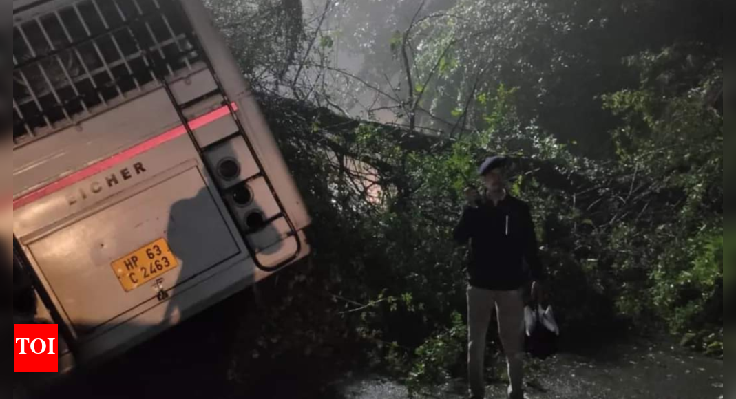 Heavy rainfall in Himachal Pradesh causes widespread devastation; 452 roads blocked | Shimla ...