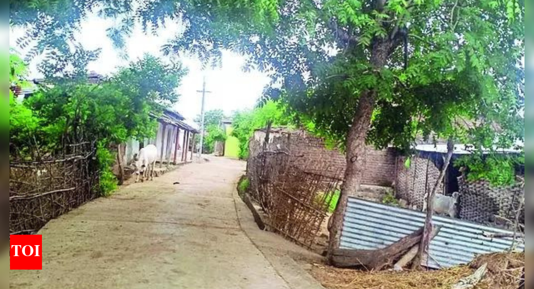 Kalavati: 15 yrs on, life's better in Kalavati's village, but no stop ...