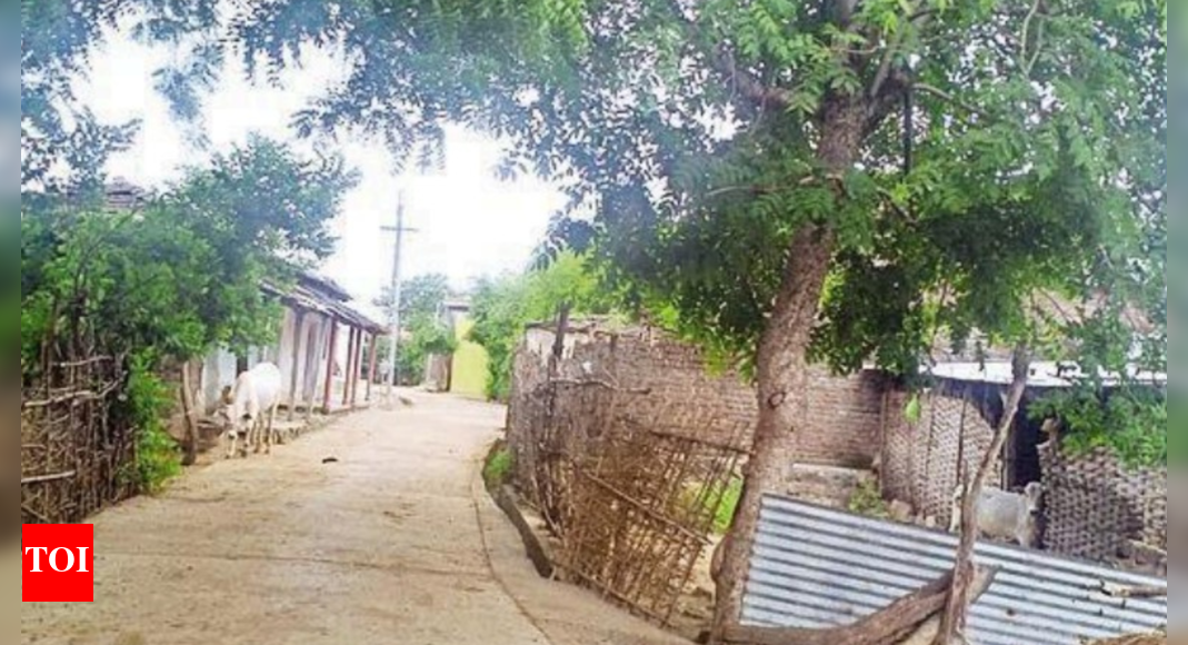 Life improved in Kalavati's village, but suicides refusing to die down ...