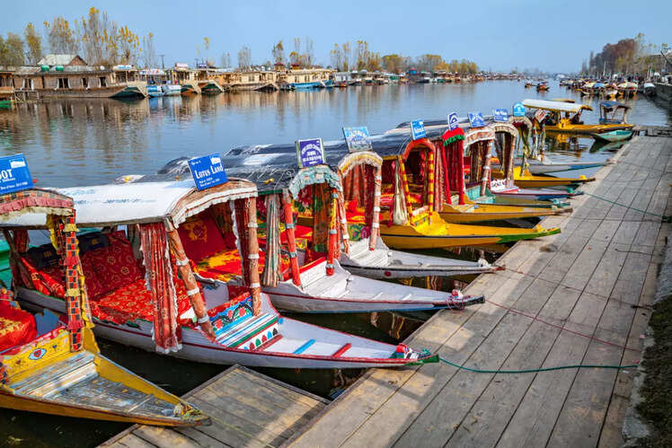 Floating wonders: Explore the enchanting Dal Lake | Times of India Travel