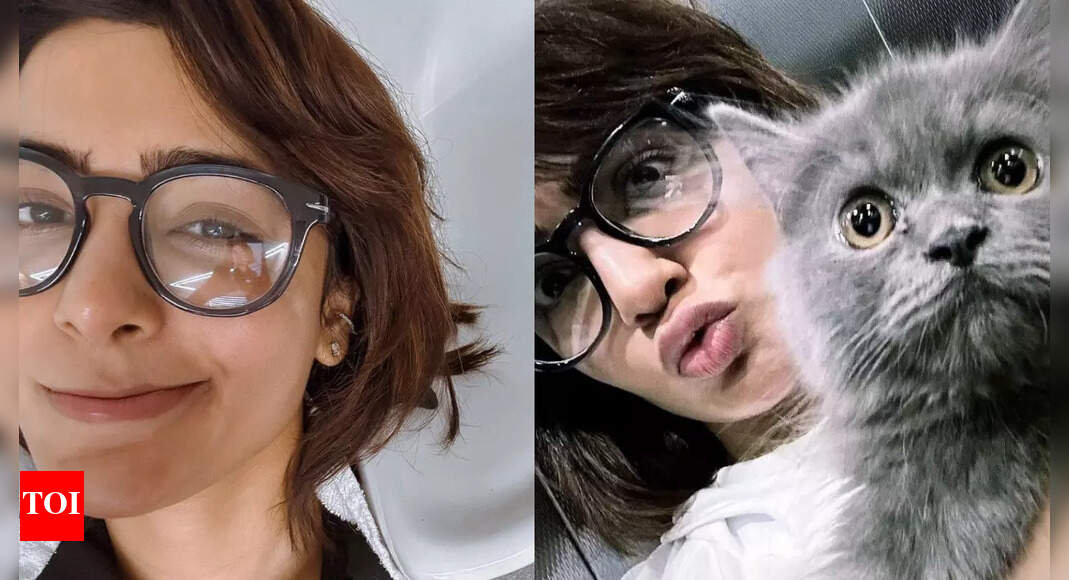 Pic: Samantha Ruth Prabhu and her cat enjoy a lazy Sunday | Telugu ...