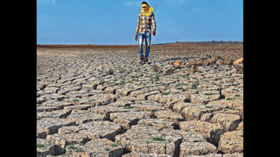 Relax norms on declaring drought, CM tells Centre | Bengaluru News - Times of India