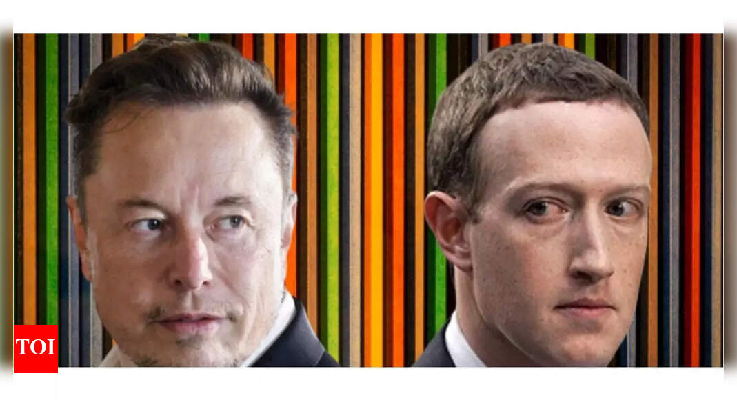Elon Musk and Mark Zuckerberg's highly anticipated cage match finally ...