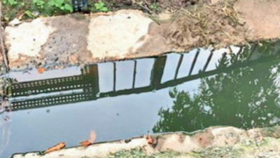 Drains clogged, sewage flows into houses after rain in Sec 44 | Noida ...