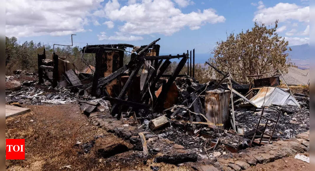 Hawaii fire death toll nears 100, and anger grows - Times of India
