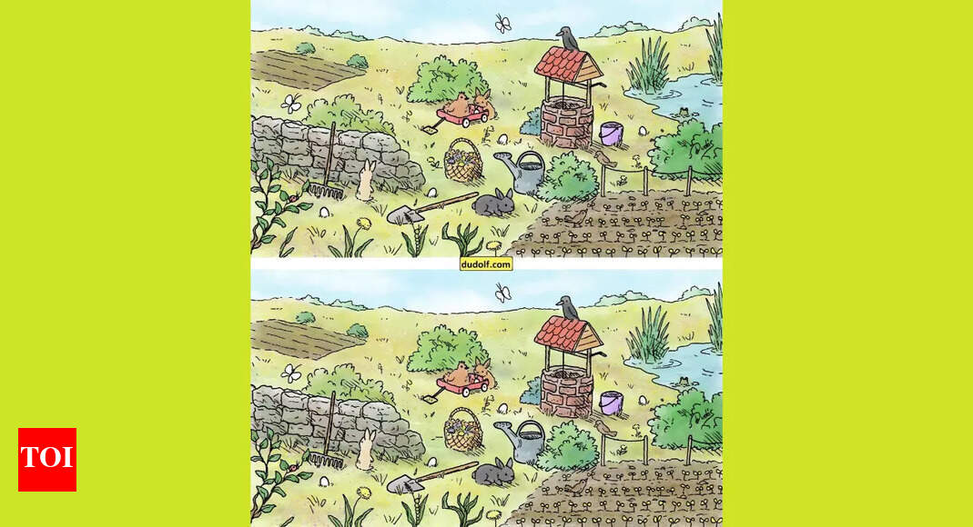 Spot The Differences: Can You Find 6 Differences Between the Images in ...