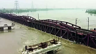 Yamuna river's water level may touch danger mark again in Delhi | Delhi News - Times of India