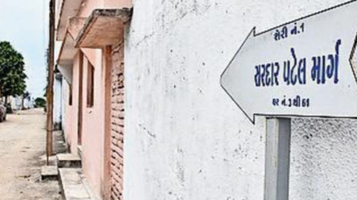 Village in Gujarat's Morbi takes the high road to honour freedom ...