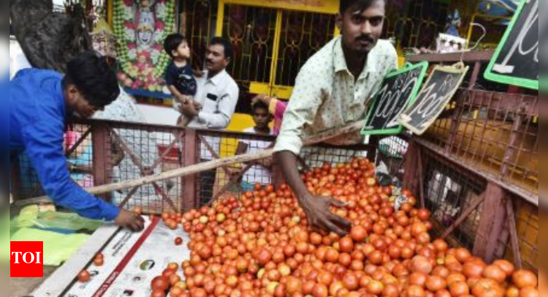 Tomato Price In Delhi: Tomatoes to be sold for Rs 50 per kg in Delhi-NCR from today | Delhi News ...