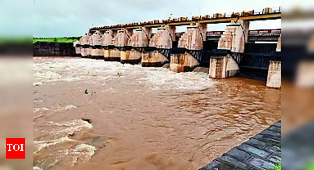 Water Storage: Low Stock In Nashik Dams Sparks Concern For Rabi Crops | Nashik News - Times of India