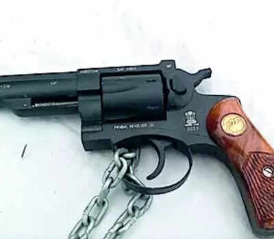 Long-Range Revolver: Country’s 1st Long-range Revolver Prabal To Be ...