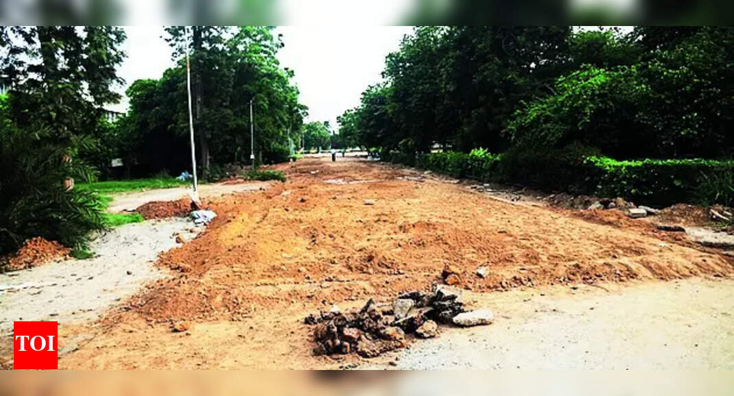 Hostel Revamp: As Pau Beautifies Its Campus, Students Say No Basic ...