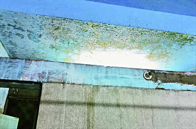 Hostel Revamp: As Pau Beautifies Its Campus, Students Say No Basic ...