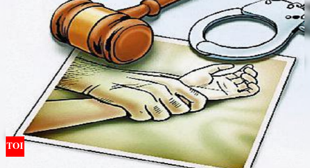 Man, 42, gets 20-year RI for sexually harassing child | Bengaluru News ...