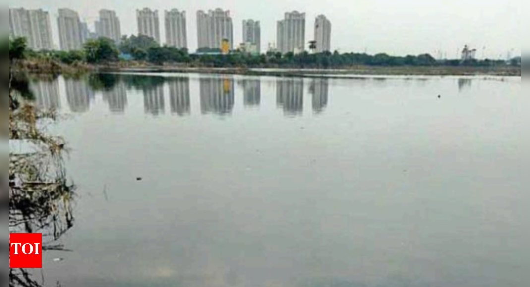 Pollution: Hindon Turns Dark Again, Dead Fish Float; Pollution Board Says Will Examine Samples ...
