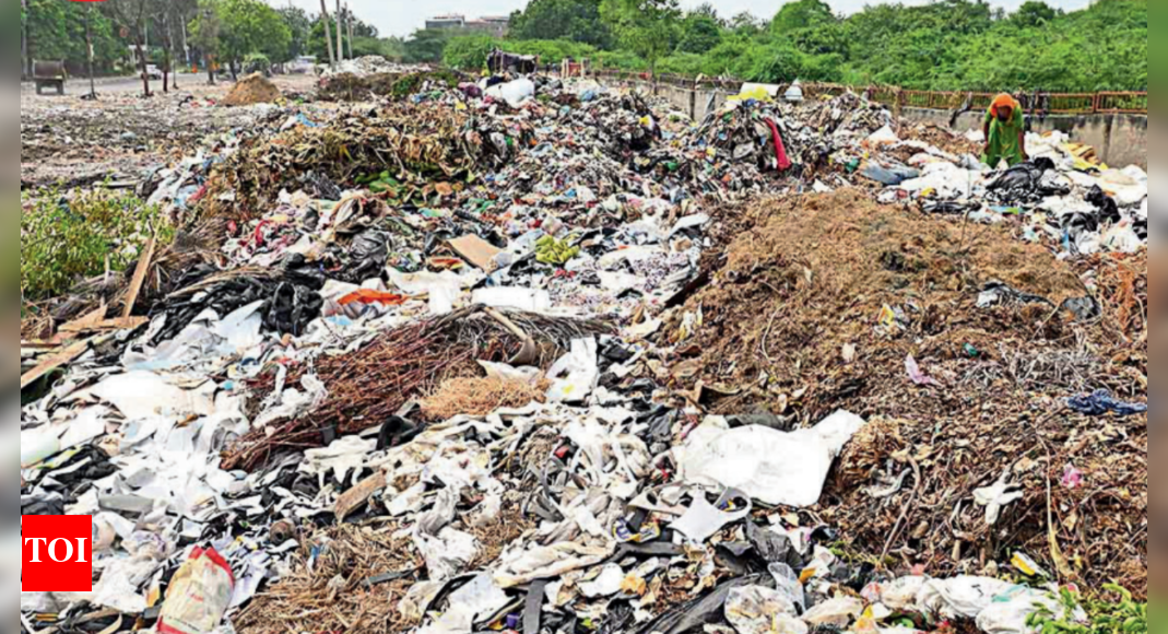 Waste Management: Trash Heaps Mounting, No One To Clear Them | Gurgaon ...