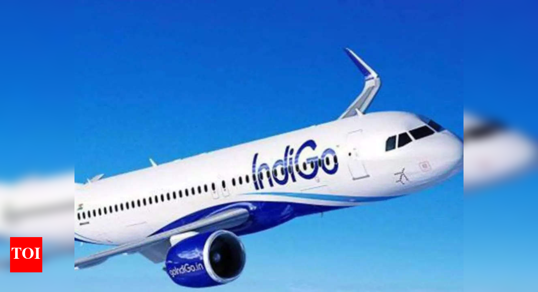 Stock Market: Indigo down on report co-founder's family to sell stake ...