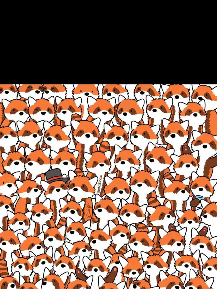 Optical Illusion: Find 3 Hidden Foxes Among The Pandas In 8 Seconds ...