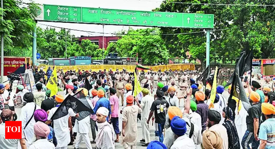 Caribbean: City Entry Points Sealed During Morcha March In Mohali ...