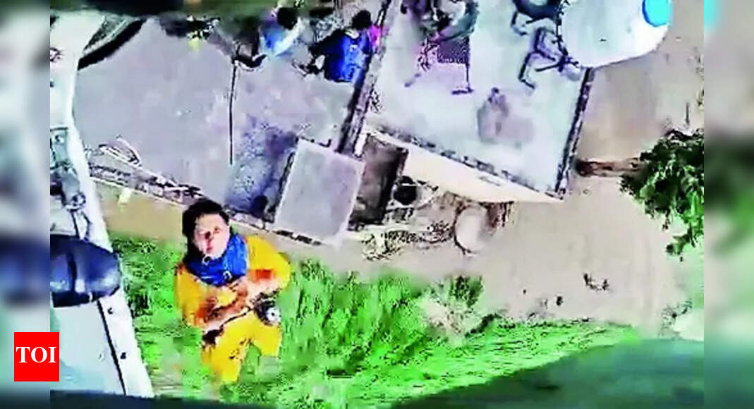 Himachal Pradesh: Pong Dam Water Flows Into Village After Village In ...