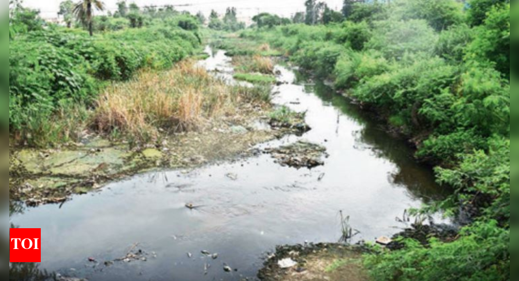 Promenade: Parks, Promenade And Cycle Tracks Along Lohia Drain Soon ...