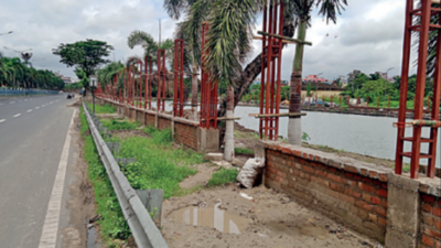 Green Makeover: Stretch Along Vip Rd To Get Green Makeover With ...