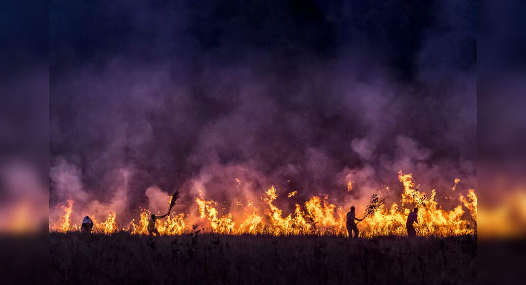 Why is Maui burning? Is it climate change or more?, Hawaii - TimesTravel