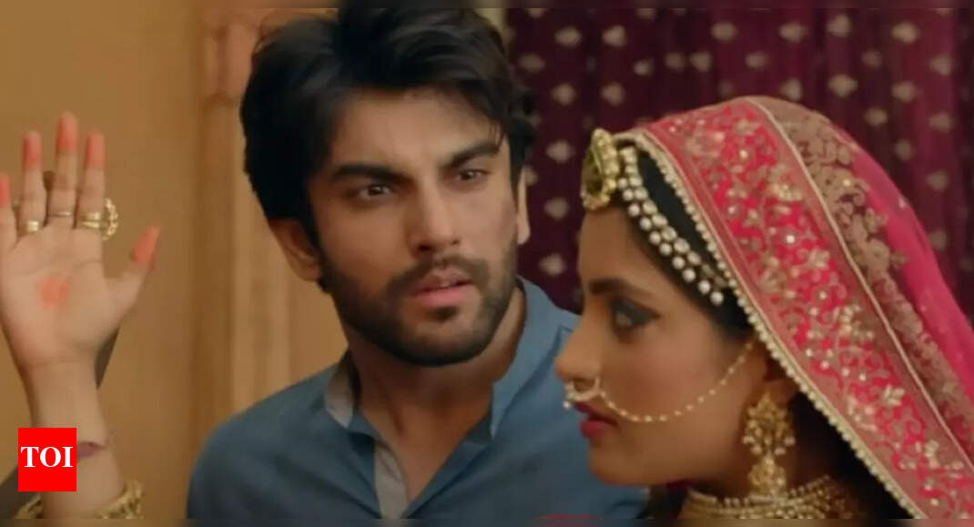 Dhruv Tara: Dhruv tries his best to save Navrang Van from Shyam Mohini ...