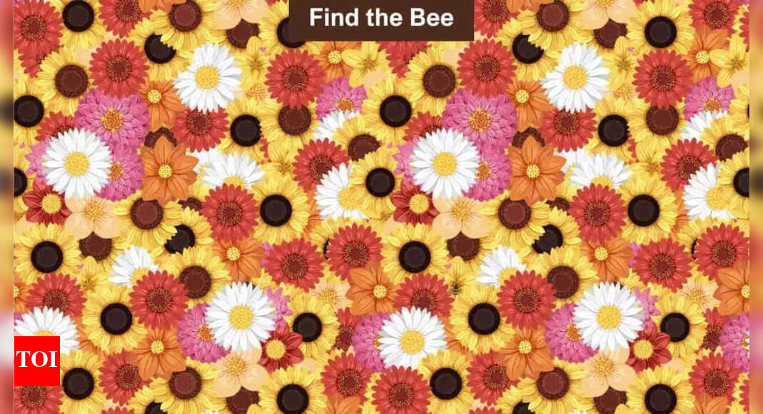 Optical Illusion: Only those with a keen eye will be able to spot a bee ...