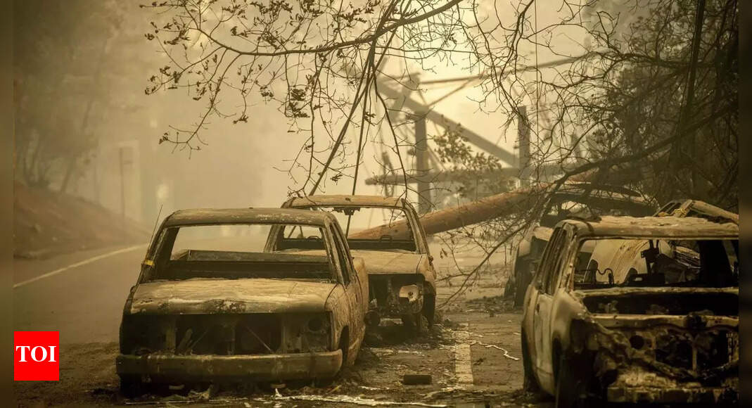 Maui inferno: What are the deadliest wildfires in US history? - Times ...