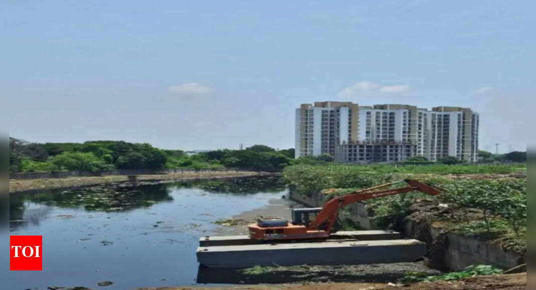 Chennai mayor inspects Otteri Nullah desilting work | Chennai News ...