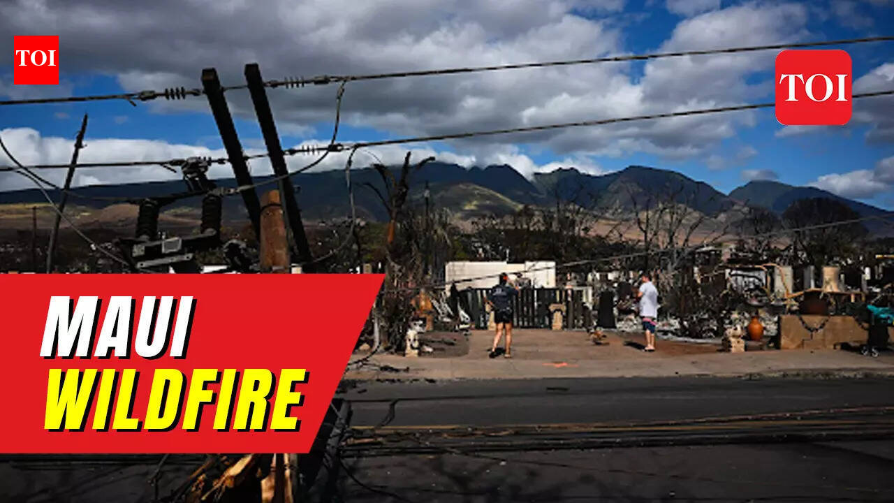 Hawaii fires: Did power lines cause Maui wildfires?