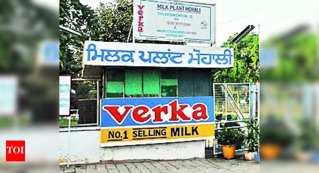 Mohali: Mohali To Get 88 New Verka Booths | Chandigarh News - Times of ...
