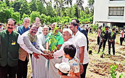 Varieties: Students To Set Up Orchard With 101 Fruit Tree Varieties ...