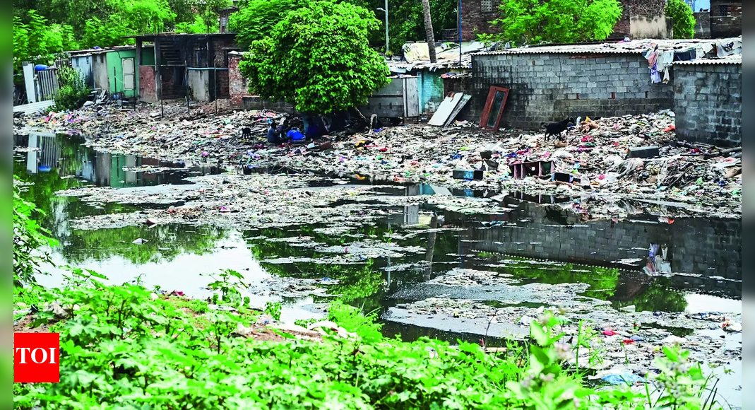 Garbage: Encroachers Turn Buckingham Canal Into Garbage Dump, Flood ...