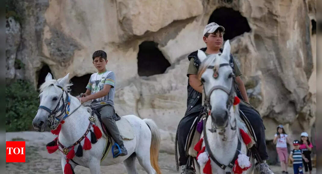 Paris bans pony rides for children following animal rights campaign ...