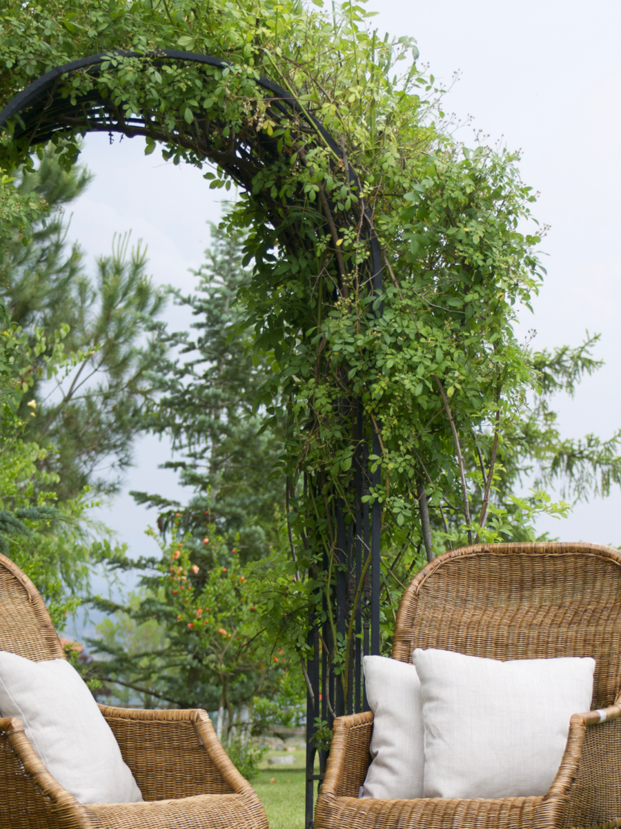 7 Ways to bring Dopamine Decor in your life | Times of India