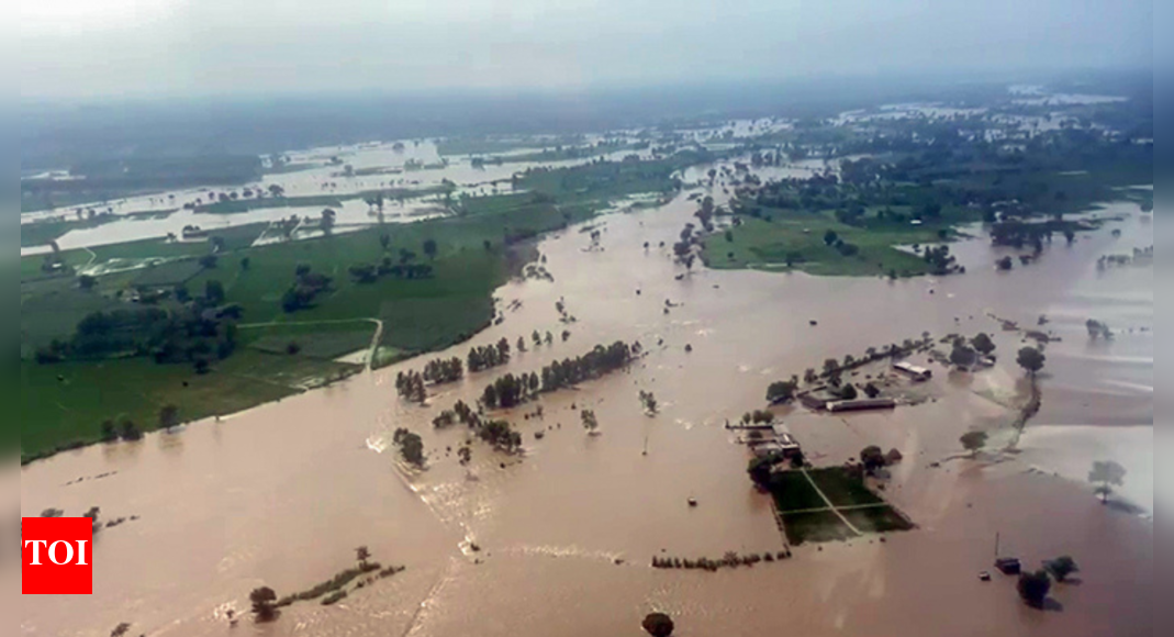 Himachal Pradesh rains: Govt declares whole state as 'natural calamity affected area' | India ...