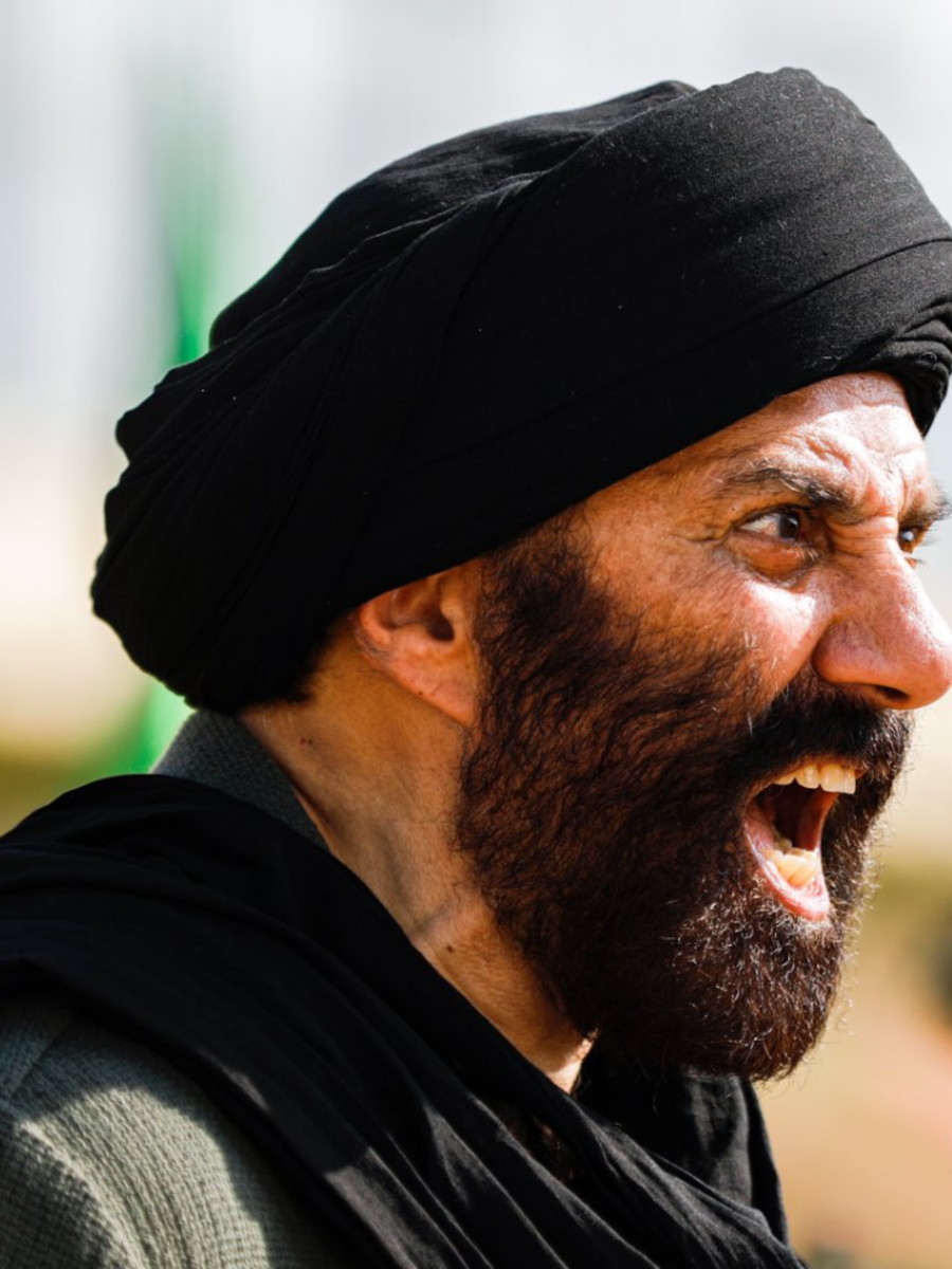 Gadar 2 Box Office Collection Day 8: Sunny Deol, Ameesha Patel Film ...