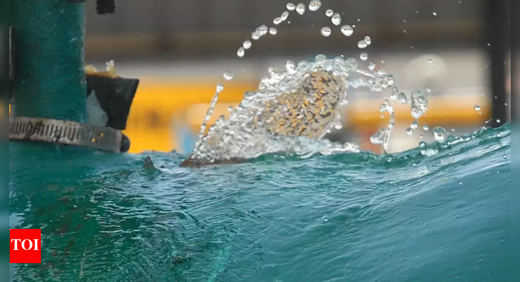 PMC's water storage capacity to rise by 12cr litres this year | Pune ...