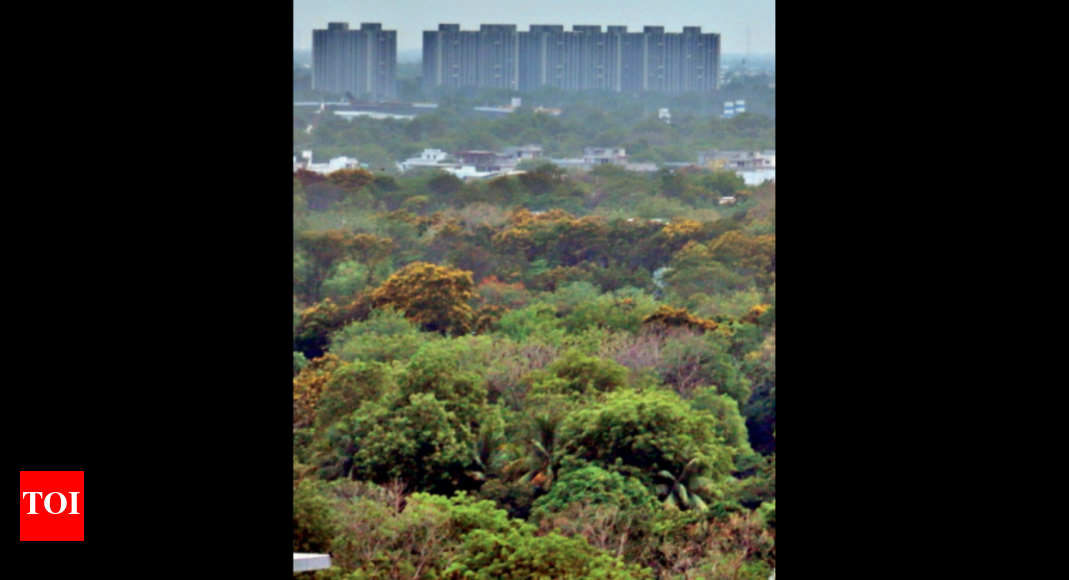 No space for disadvantaged in Chandlodia TP scheme | Ahmedabad News ...