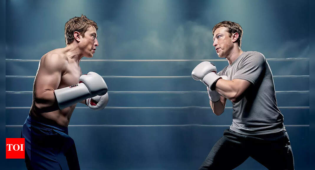Musk Vs Zuck: Tech bros peacocking continues | English Movie News ...