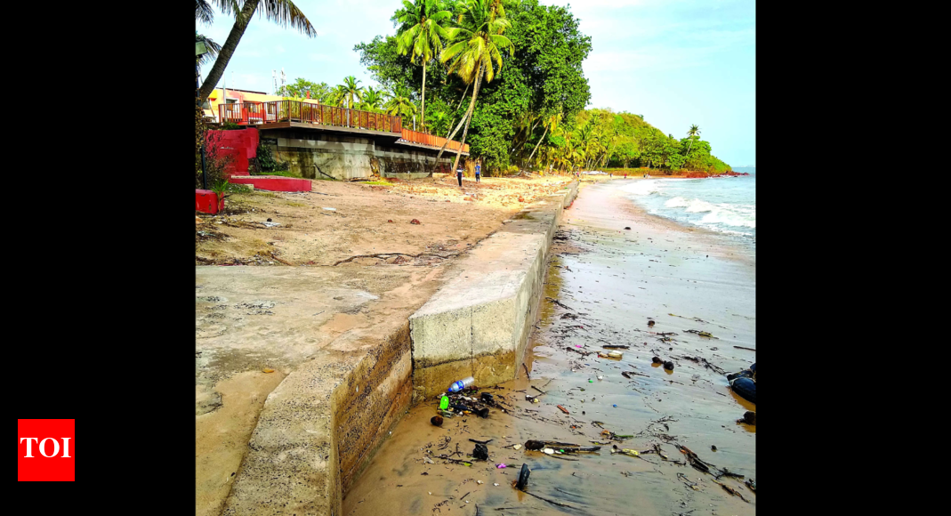 Goa Foundation: NGT rejects Goa Foundation’s plea to contest Vainguinim ...