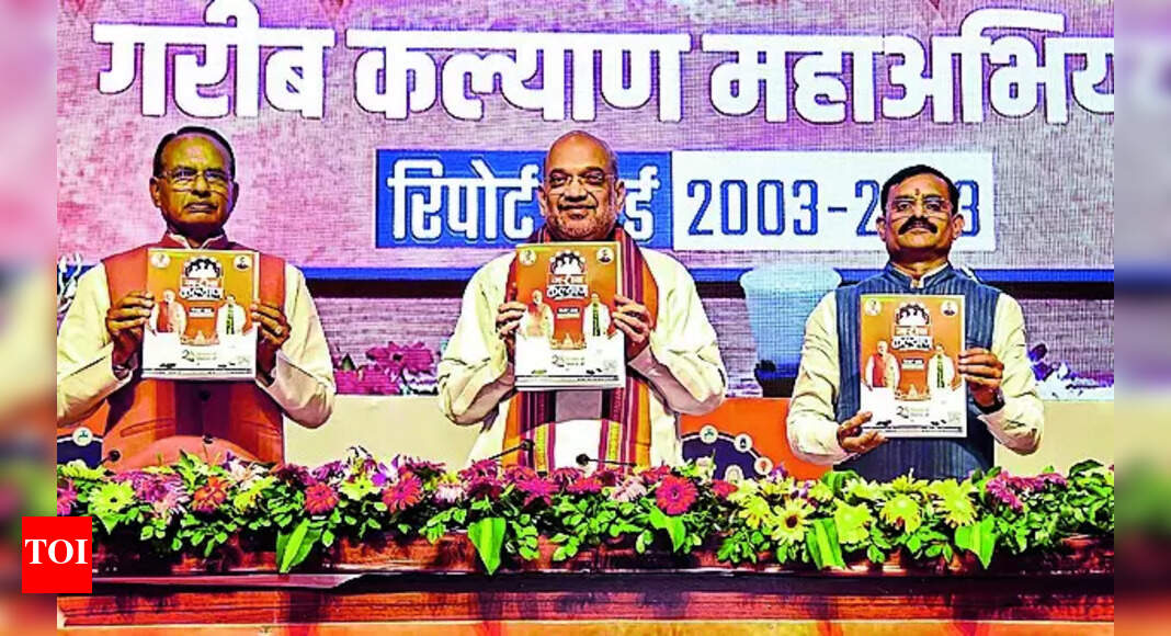 Madhya Pradesh Bjp Elections: Amit Shah sets target of 150-plus seats for BJP in poll-bound ...